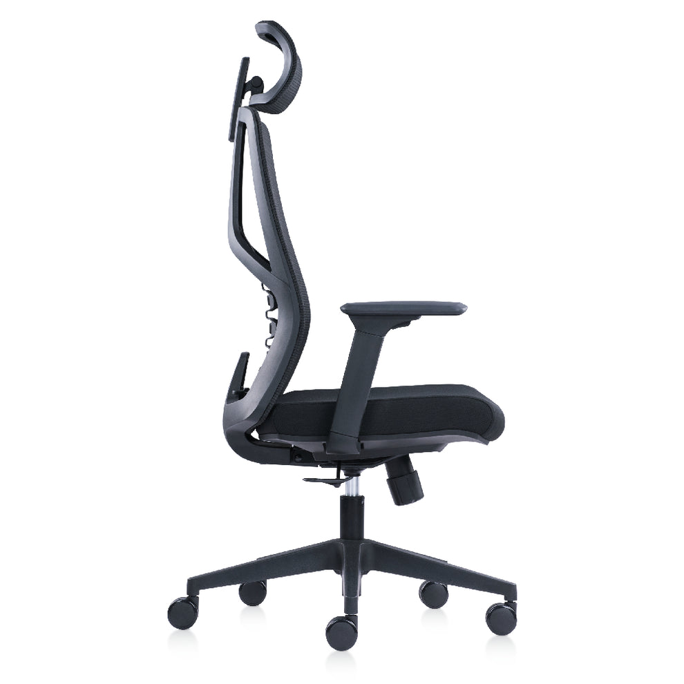 Ergo Everybody Ergonomic Chair with Headrest