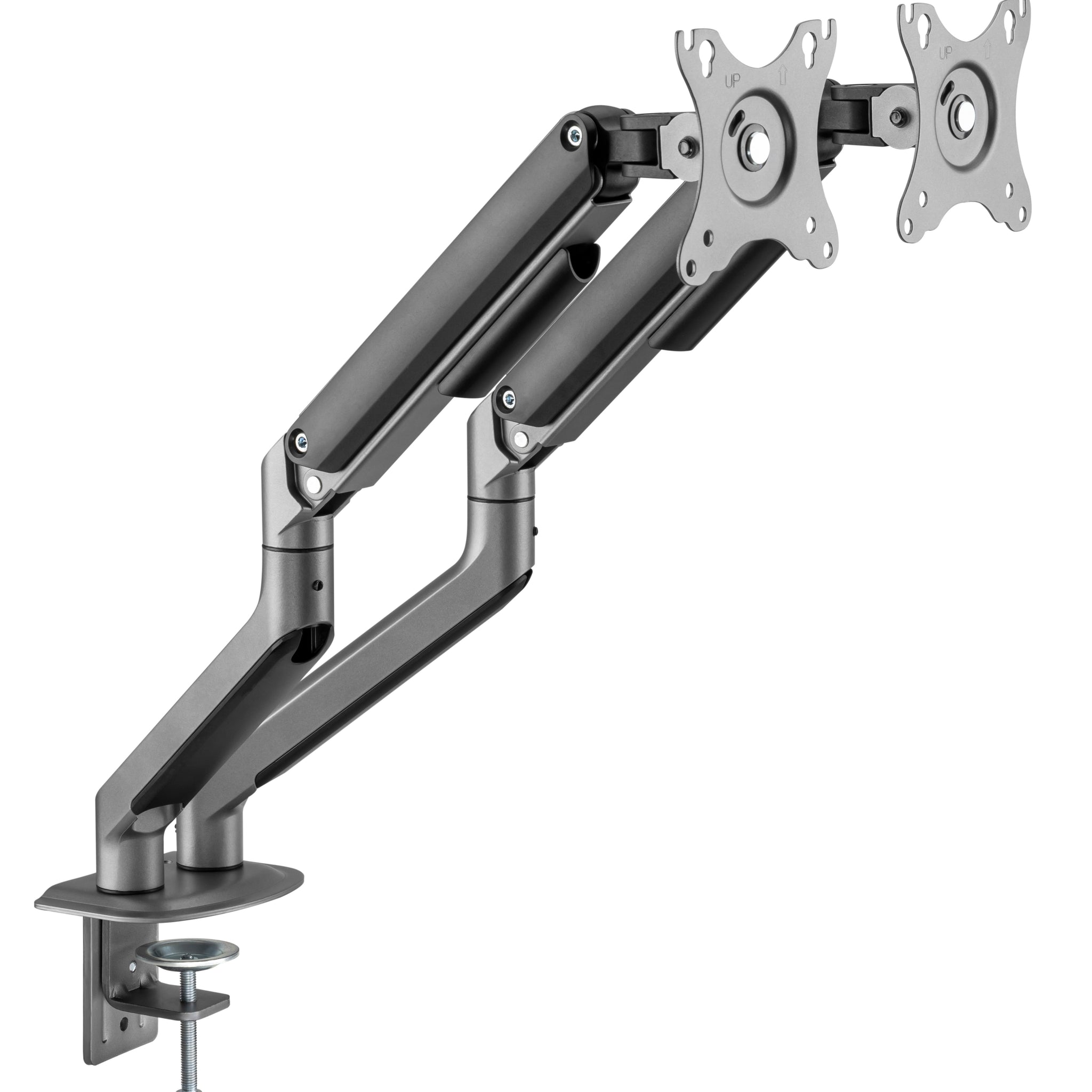 Ergo Vista Dual Monitor Arm