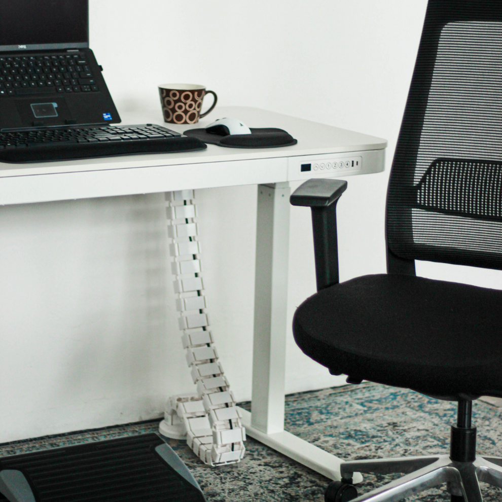 Flexispot CMP017 Cable Management Block System for Height-Adjustable D