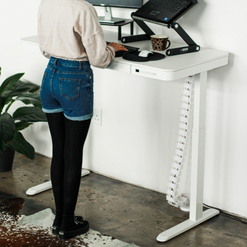 Flexispot CMP017 Cable Management Block System for Height-Adjustable D