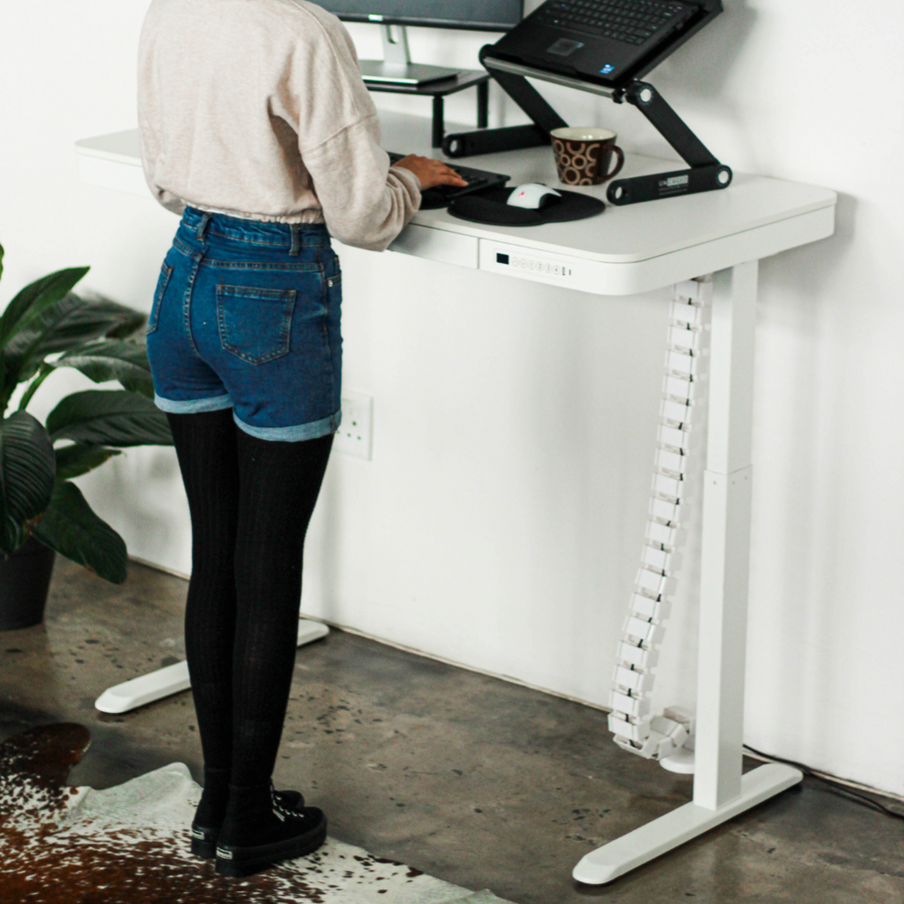 Flexispot CMP017 Cable Management Block System for Height-Adjustable D