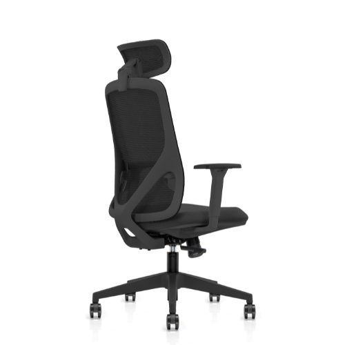 Victory Chair with Headrest